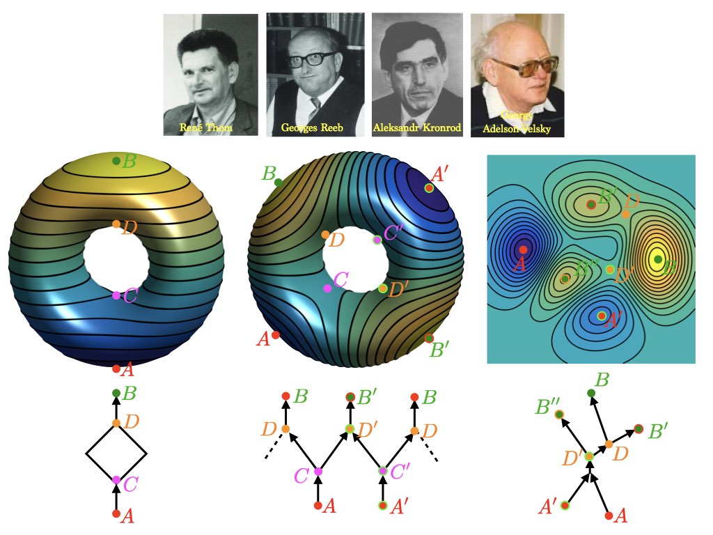 The Reeb graph of a function on a manifold is the graph of level sets ordered by inclusion. For ...