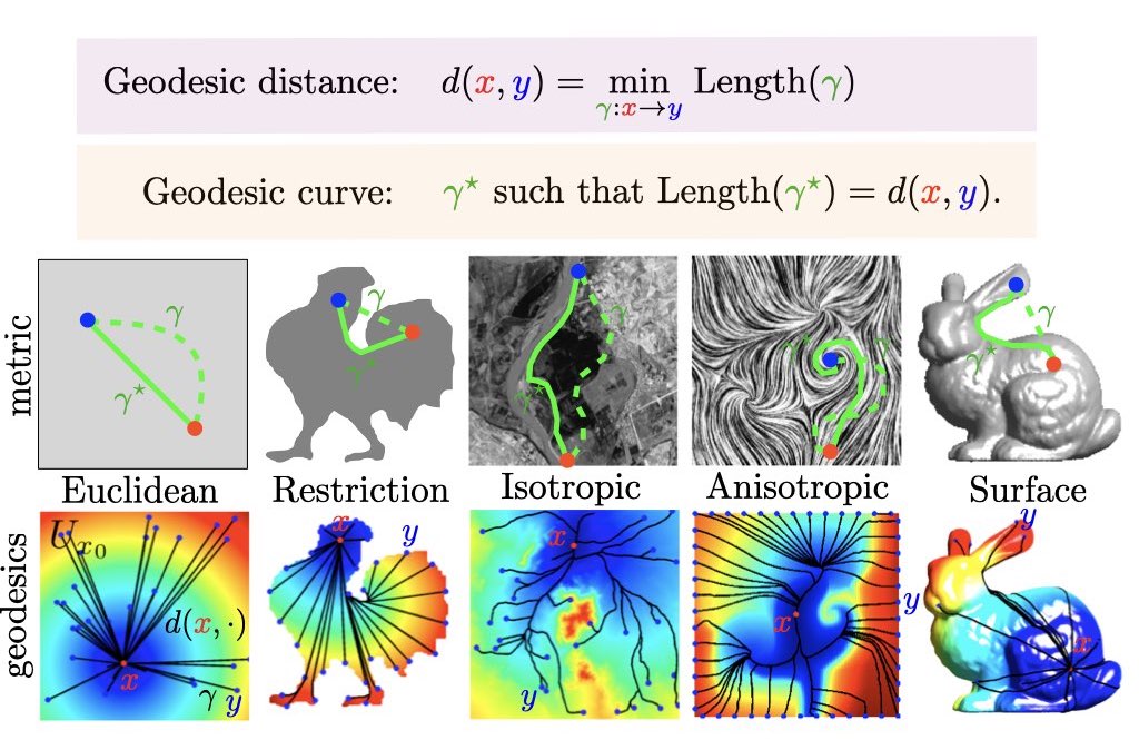 The geodesic distance extends a local metric into a global one ...